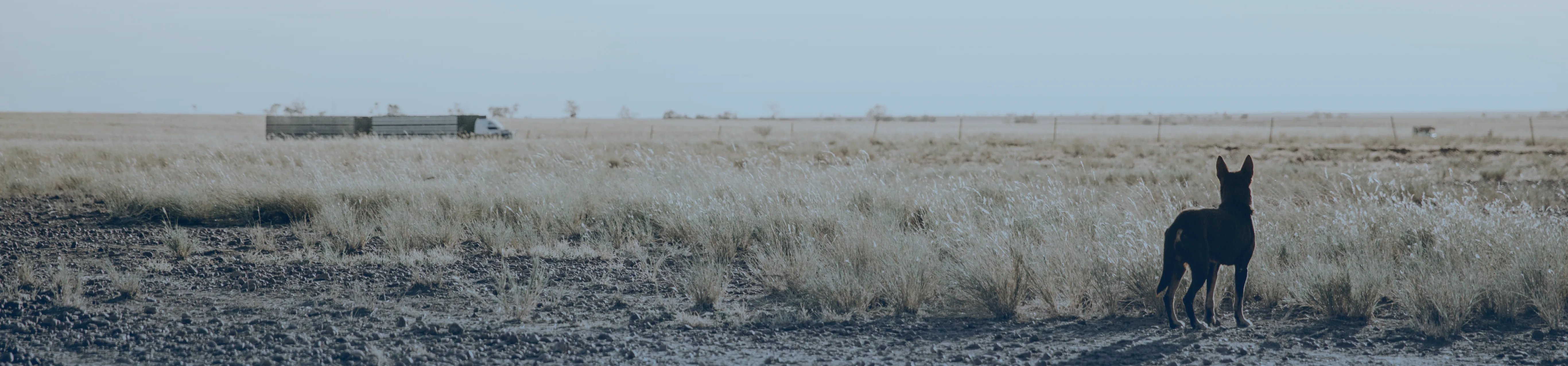 Outback Explorer Competition